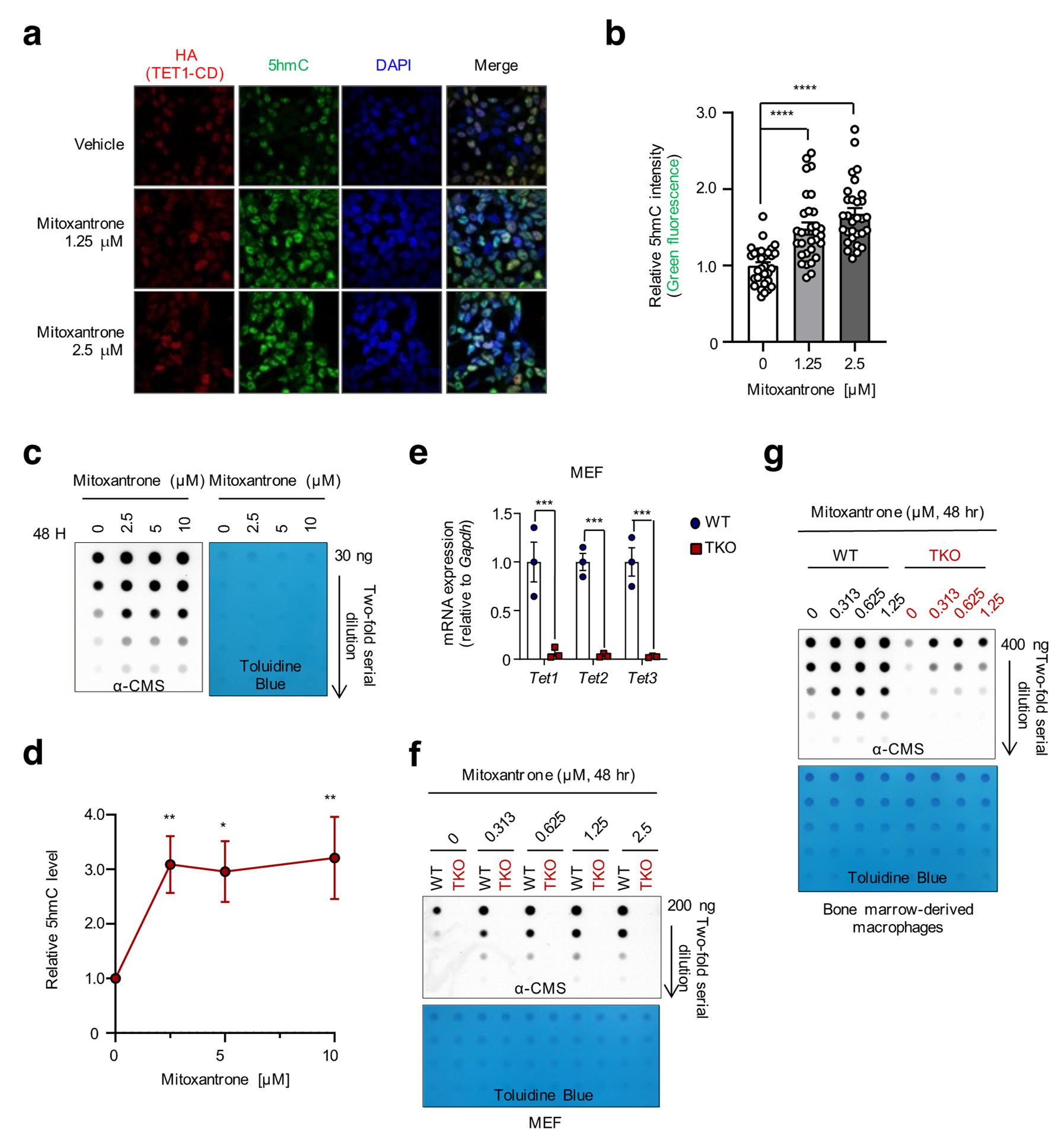 Hek293 Tet Off Advanced Cell Line | TaKaRa | Bioz