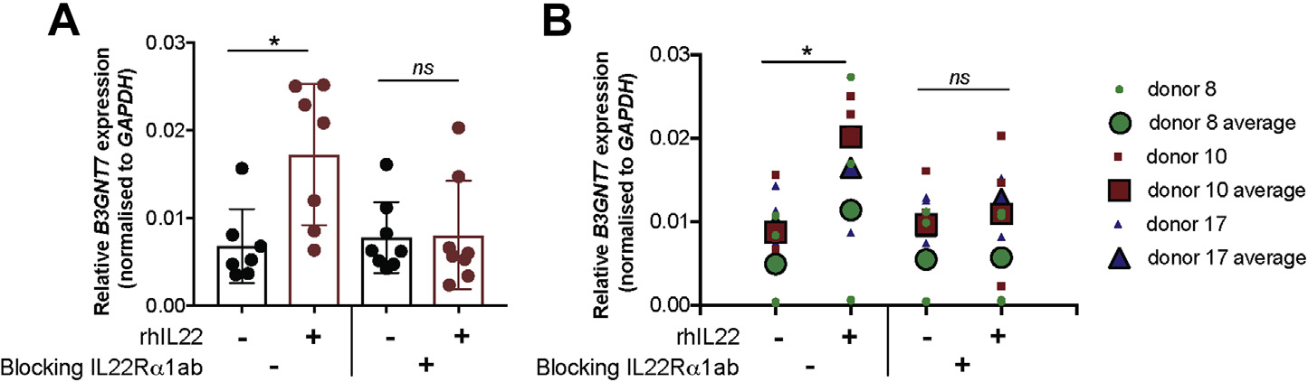 Af2770 | Bio-Techne corporation | Bioz